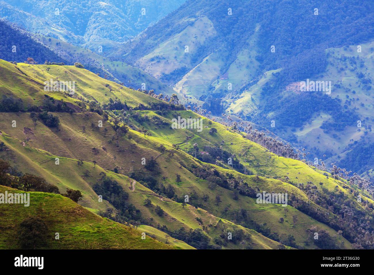 Rural landscapes in green colombian mountains Stock Photo - Alamy
