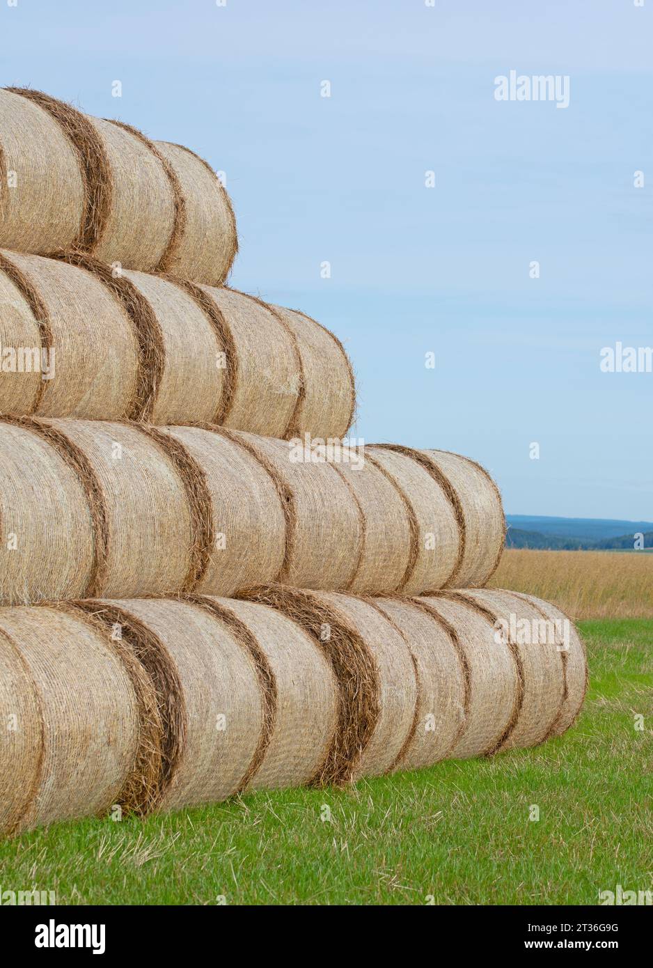 Round bales of straw stacked hi-res stock photography and images - Alamy