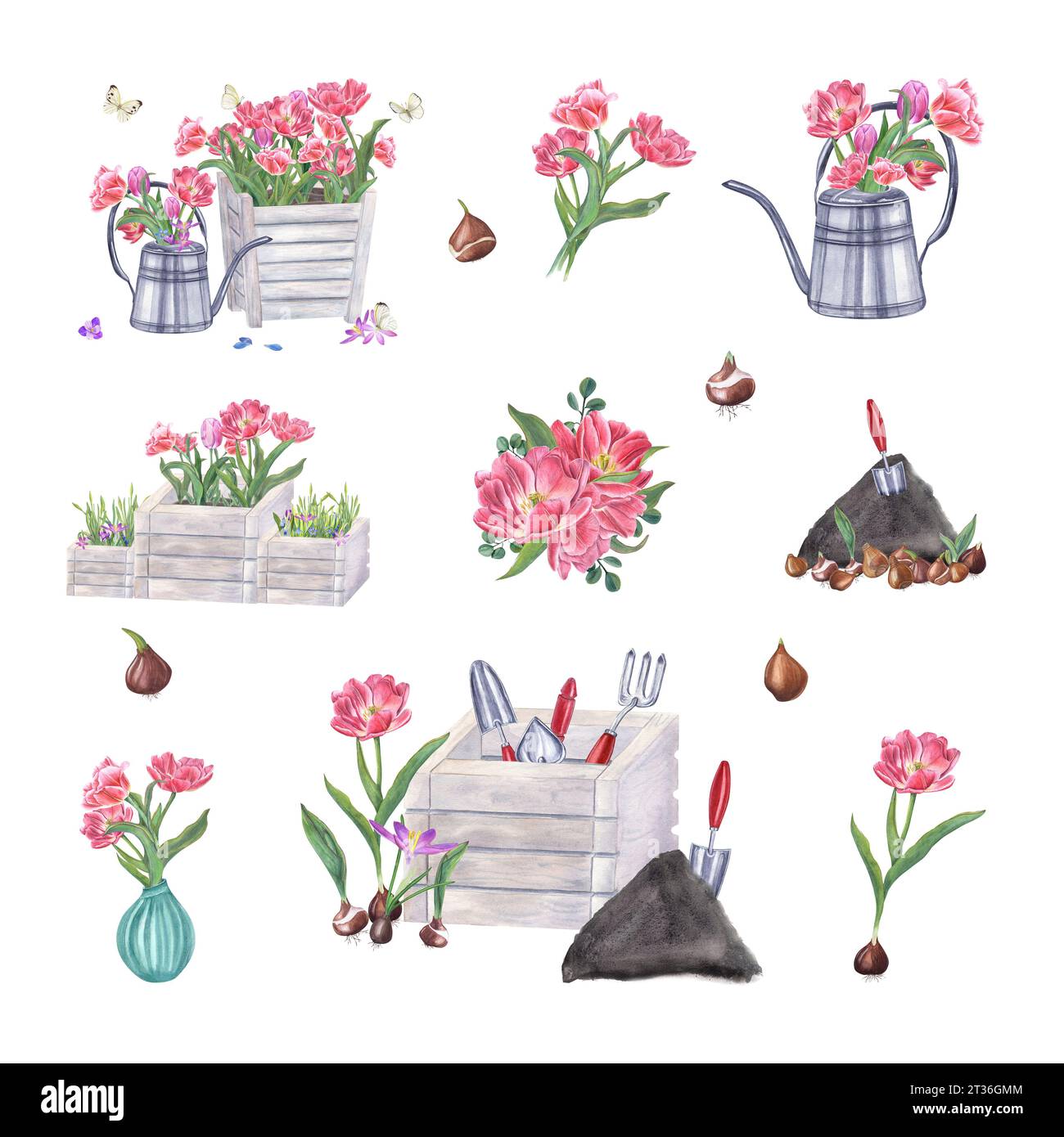 Florist tools Cut Out Stock Images & Pictures - Alamy
