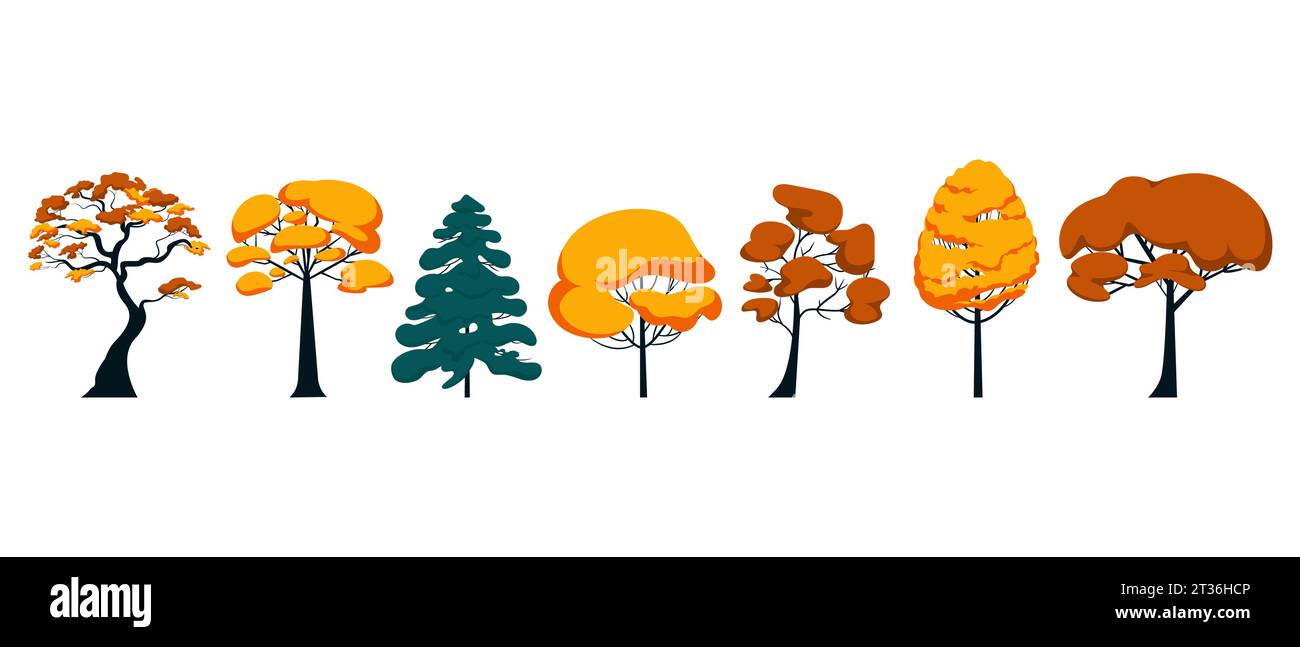 Set of different autumn trees pine and deciduous horizontal arrangement ...