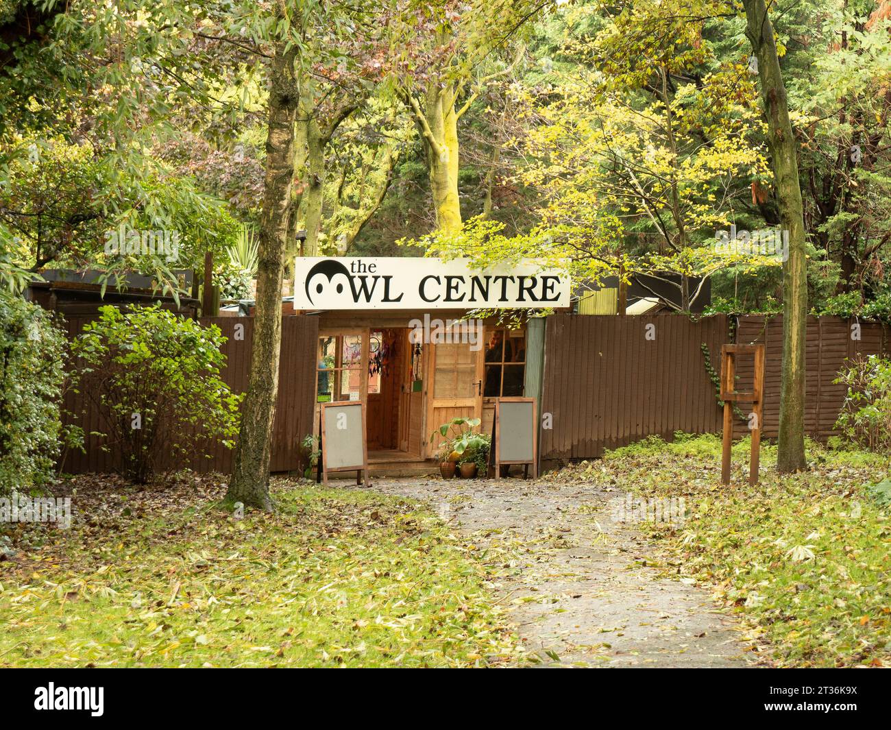 Owls in cages hi-res stock photography and images - Alamy