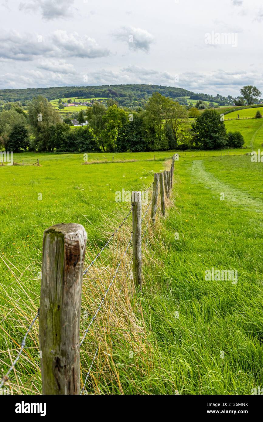 Wooden posts and wire fences dividing plots in Dutch agricultural ...