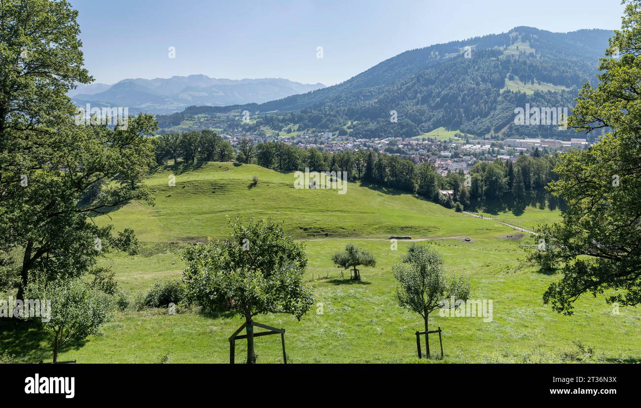 aerial mountain landscape with Immenstadt village in green Iller river ...