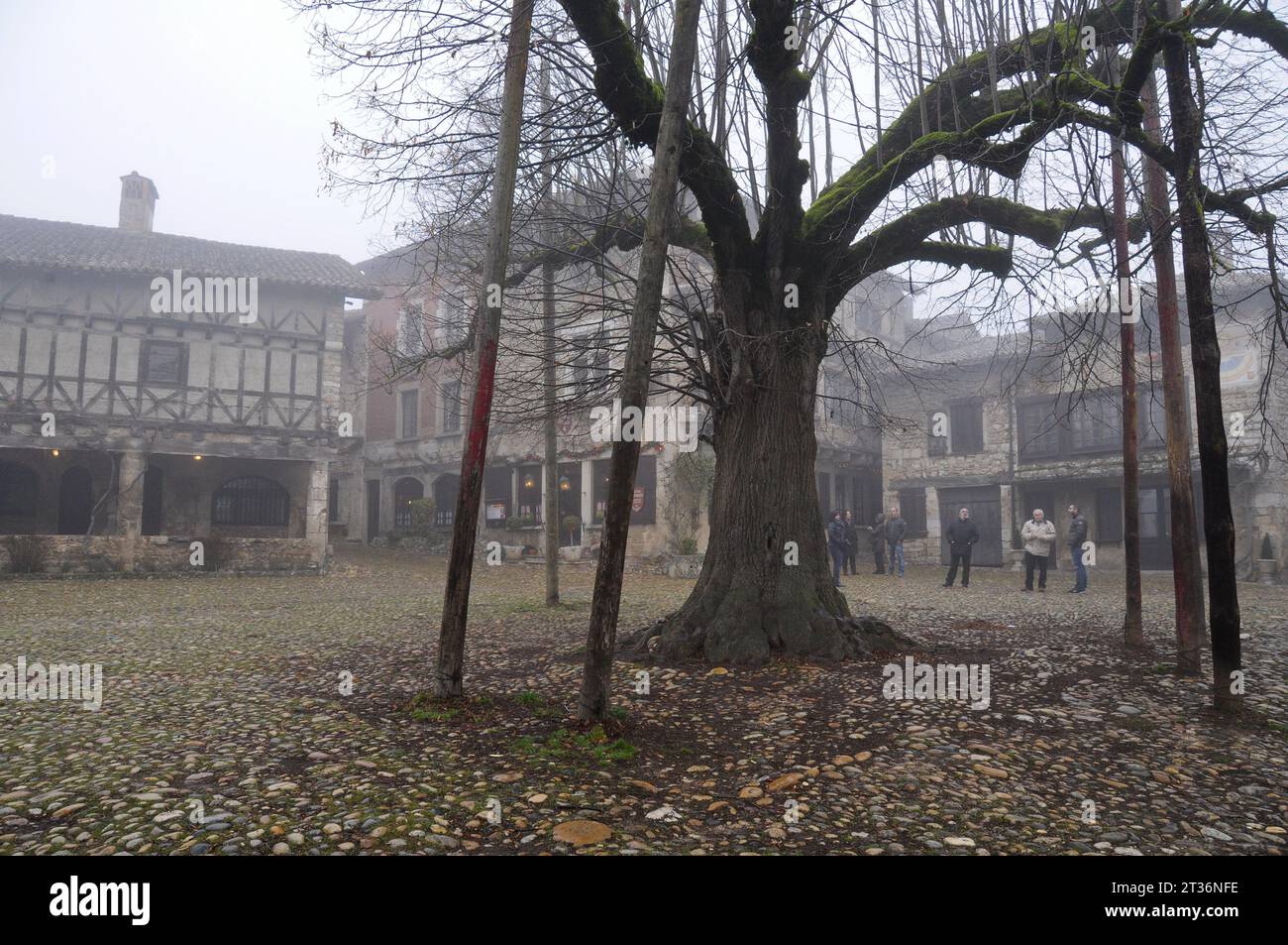 Perouges and france and tree hi-res stock photography and images - Alamy