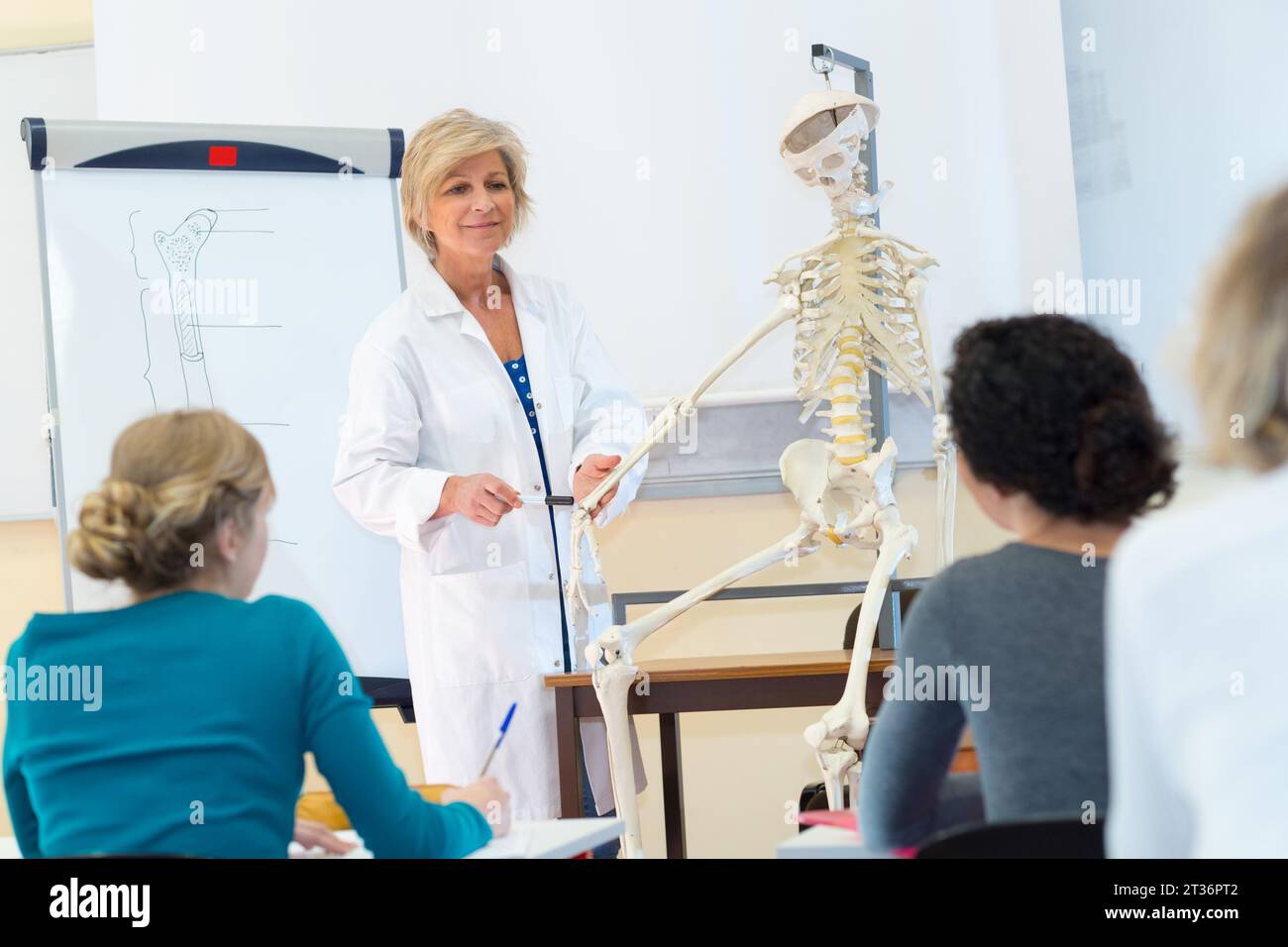 teacher and skeleton for classroom education Stock Photo - Alamy