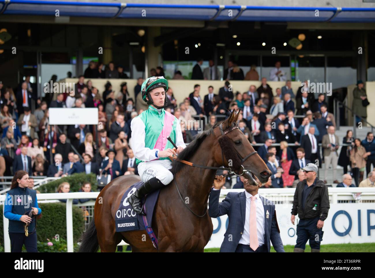 Ascot, Berkshire, UK. 21st October, 2023. Horse Bluestocking ridden by ...
