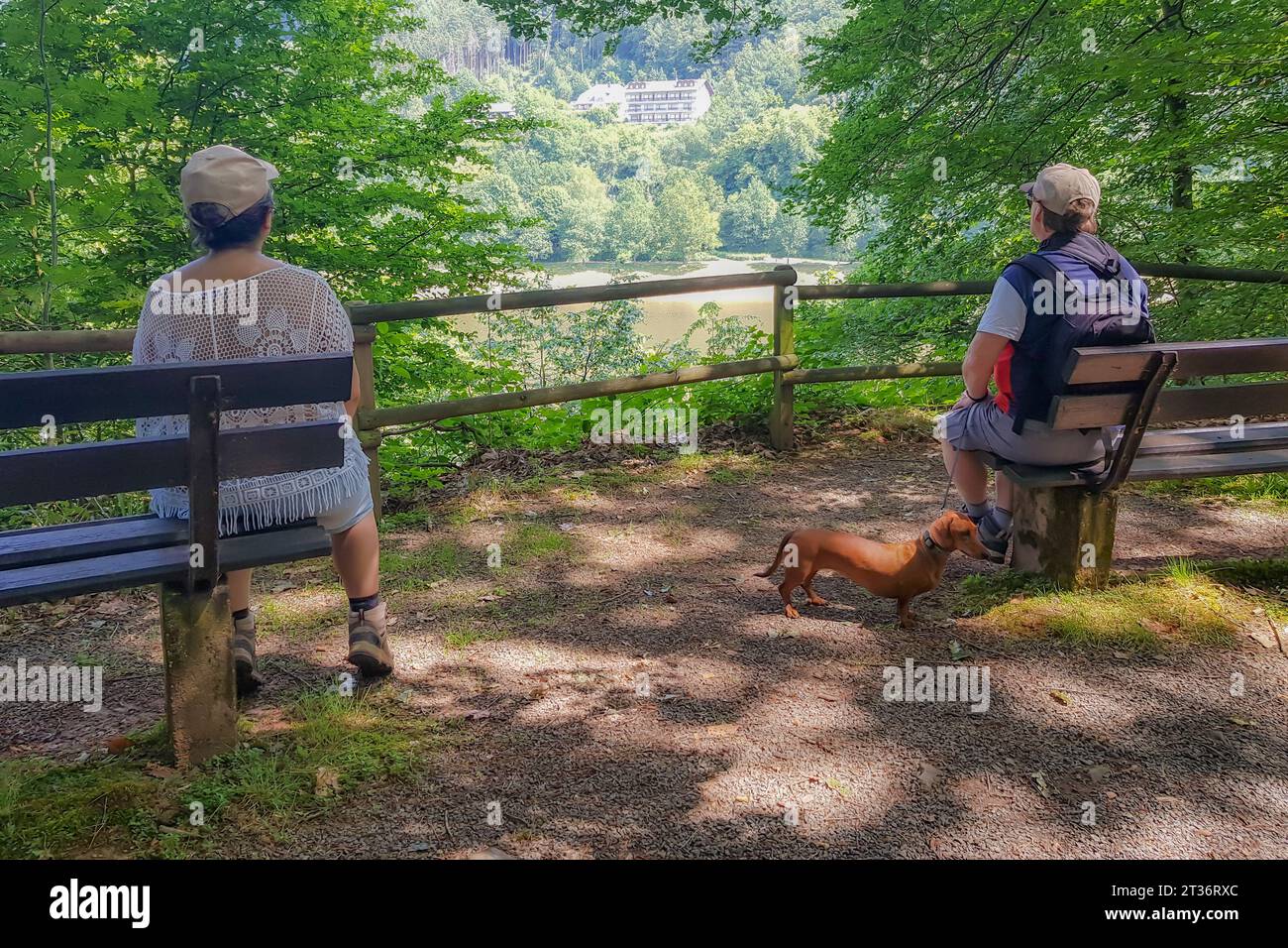 Rear view of hikers together with their dog taking a break, sitting on ...