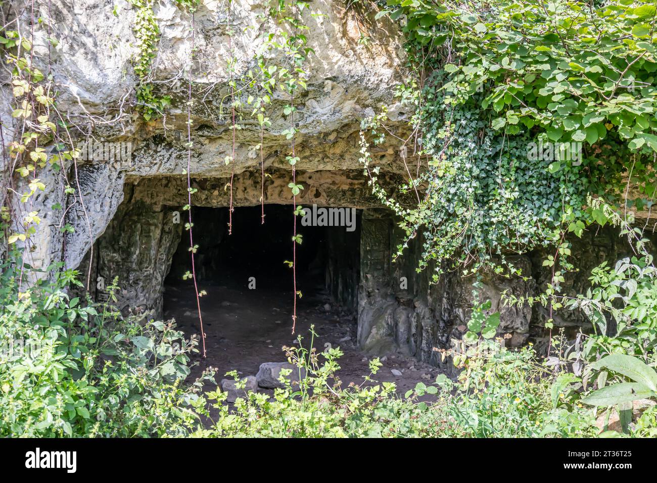 Rock formation with the entrances to a cave surrounded by wild ...