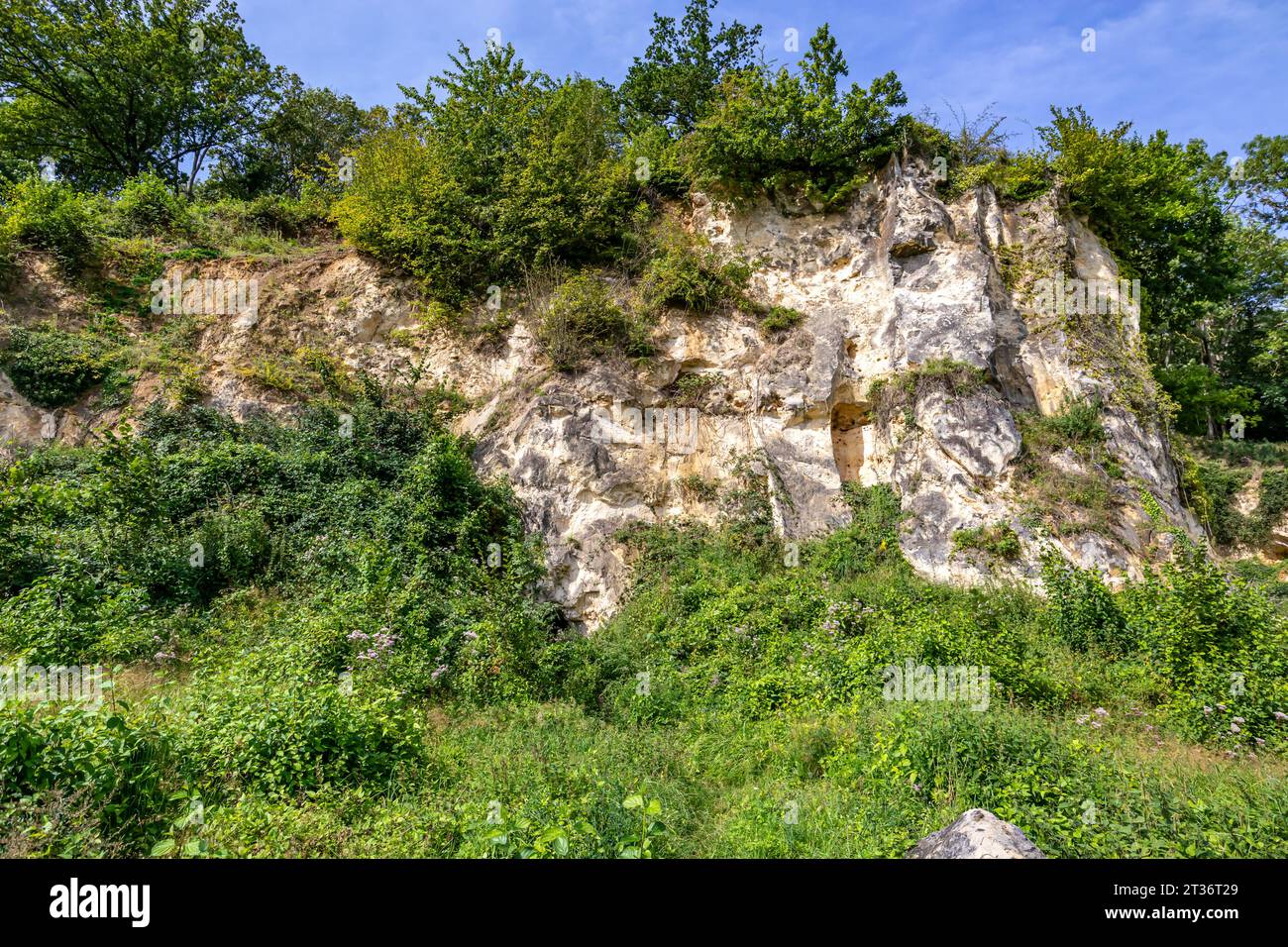 Hillside of a limestone rock formation surrounded by lush wild vegetation, uneven texture and ...