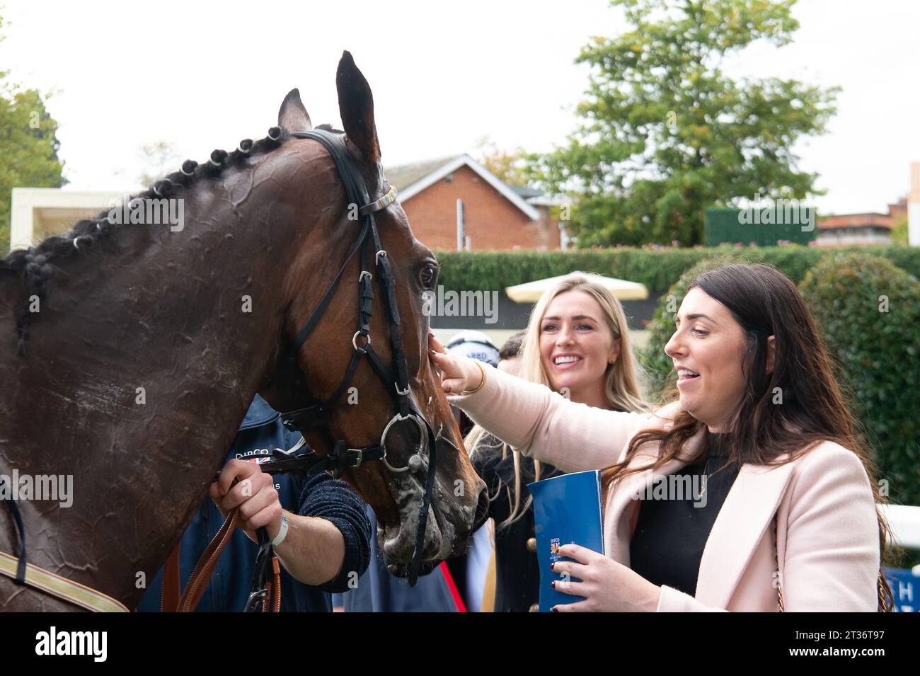 Sam england horse trainer hi-res stock photography and images - Alamy