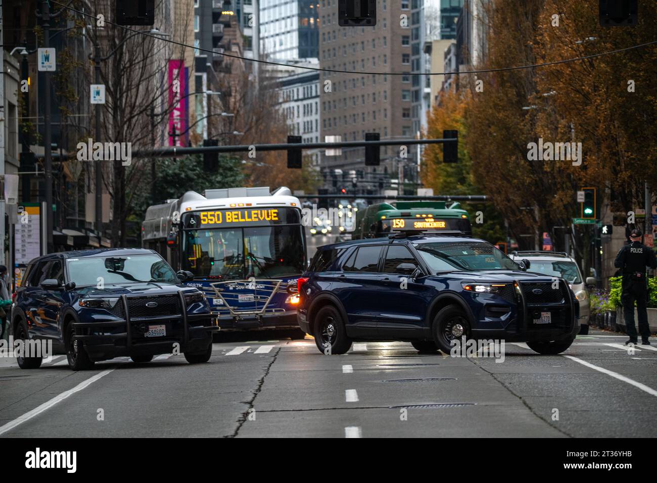 Seattle Wa - October 21, 2023 - Pro-Palestine march in downtown Stock ...