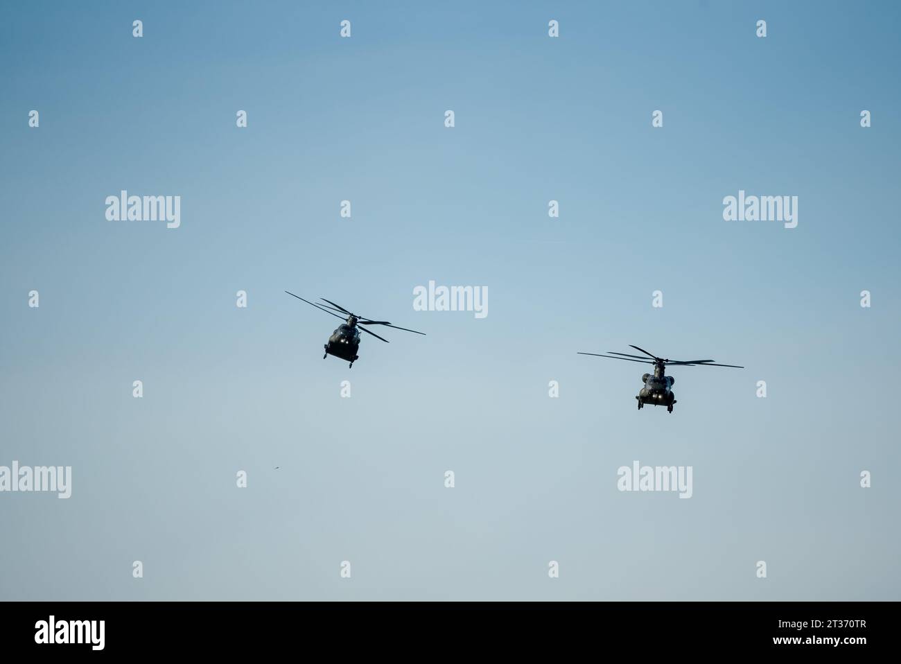 A pair of RAF Chinook tandem-rotor CH-47 helicopters flying fast and ...