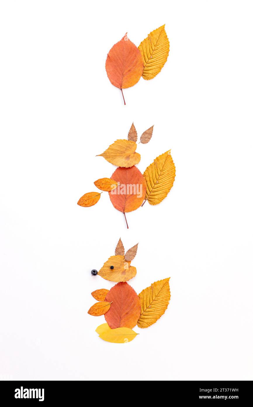 easy nature craft for kids, turtle made from leaves, ideas for autumn ...