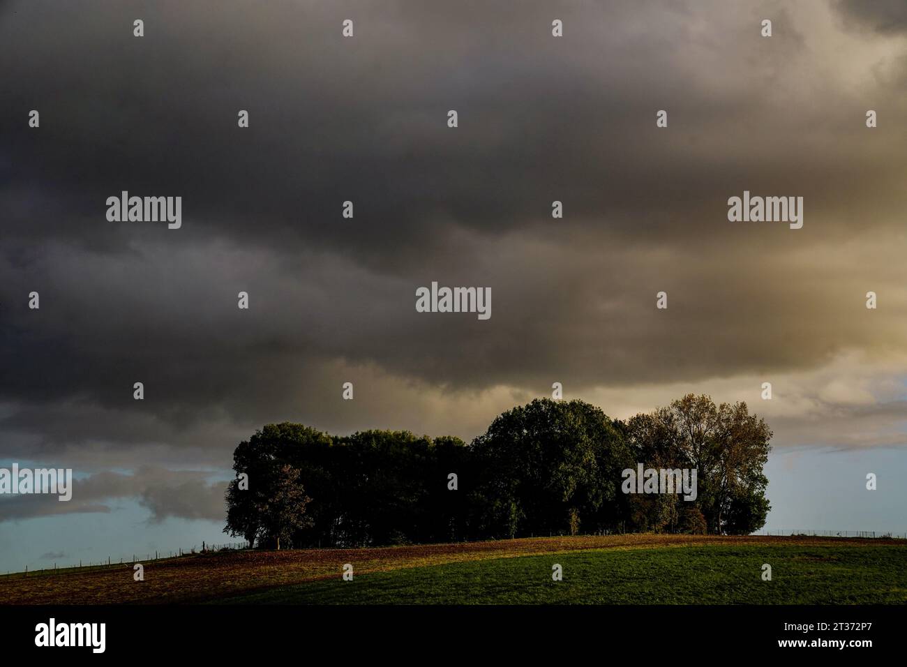 Trees surround the Hawthorn Ridge crater in France on the site of the ...