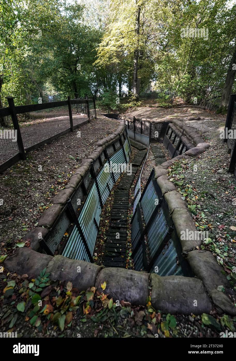 A restored front line World War 1 trench in Thiepval Wood, France on ...