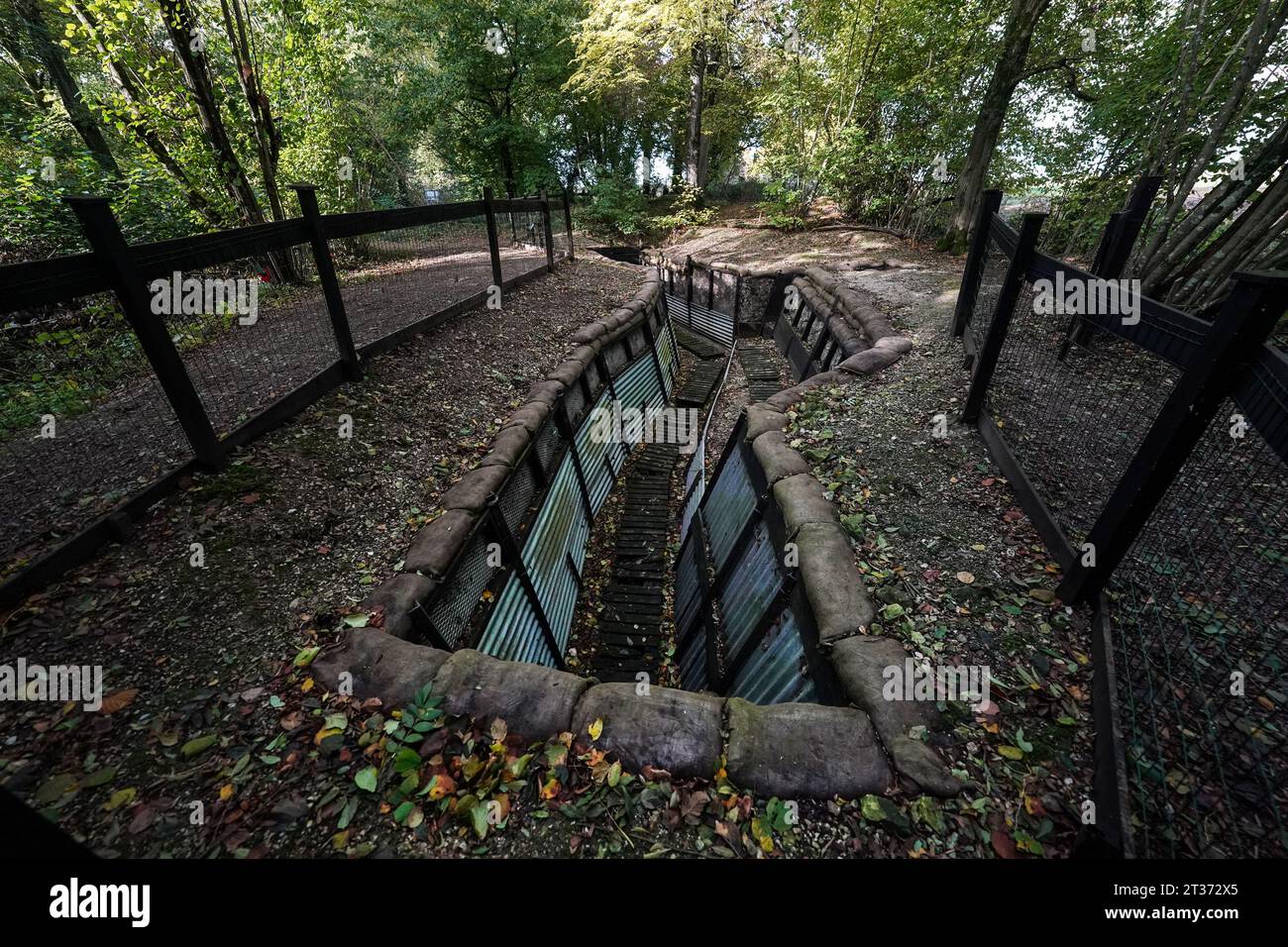 A restored front line World War 1 trench in Thiepval Wood, France on ...
