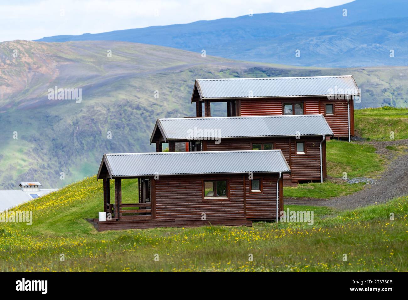 Interesting line up of log cabins in Iceland, wildflowers and mountains ...