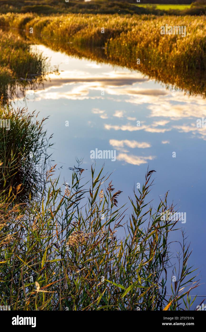 Minsmere river hi-res stock photography and images - Alamy