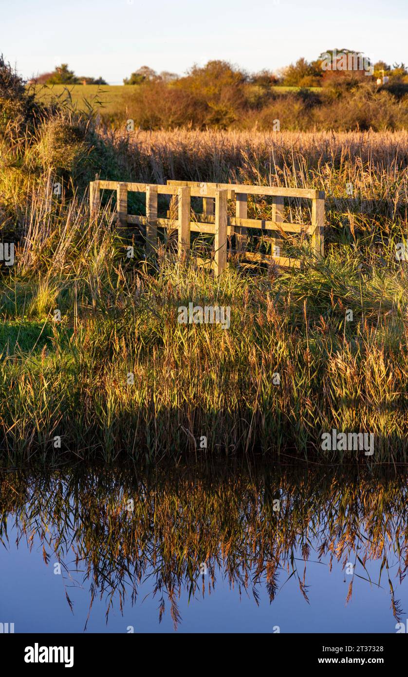 Dunwich River Walberswick Suffolk Stock Photo - Alamy