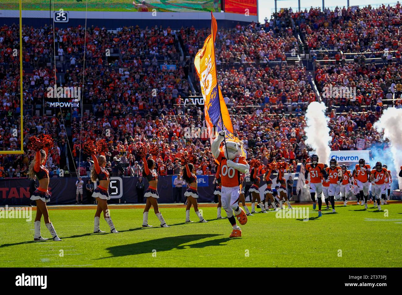 Miles the Mascot of the Denver Broncos takes the field against the ...