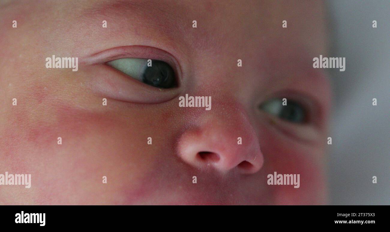 Newborn baby eyes in first day of life looking and observing Stock ...