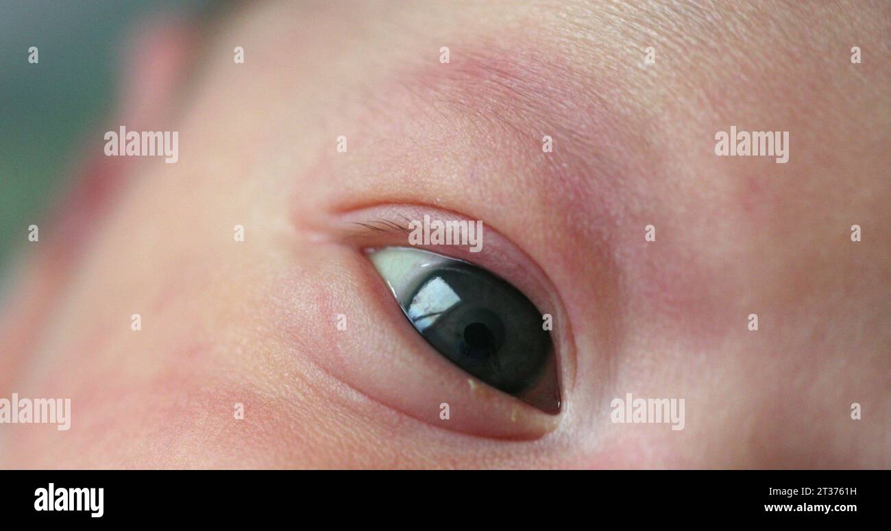 Newborn baby eyes in macro Stock Photo - Alamy