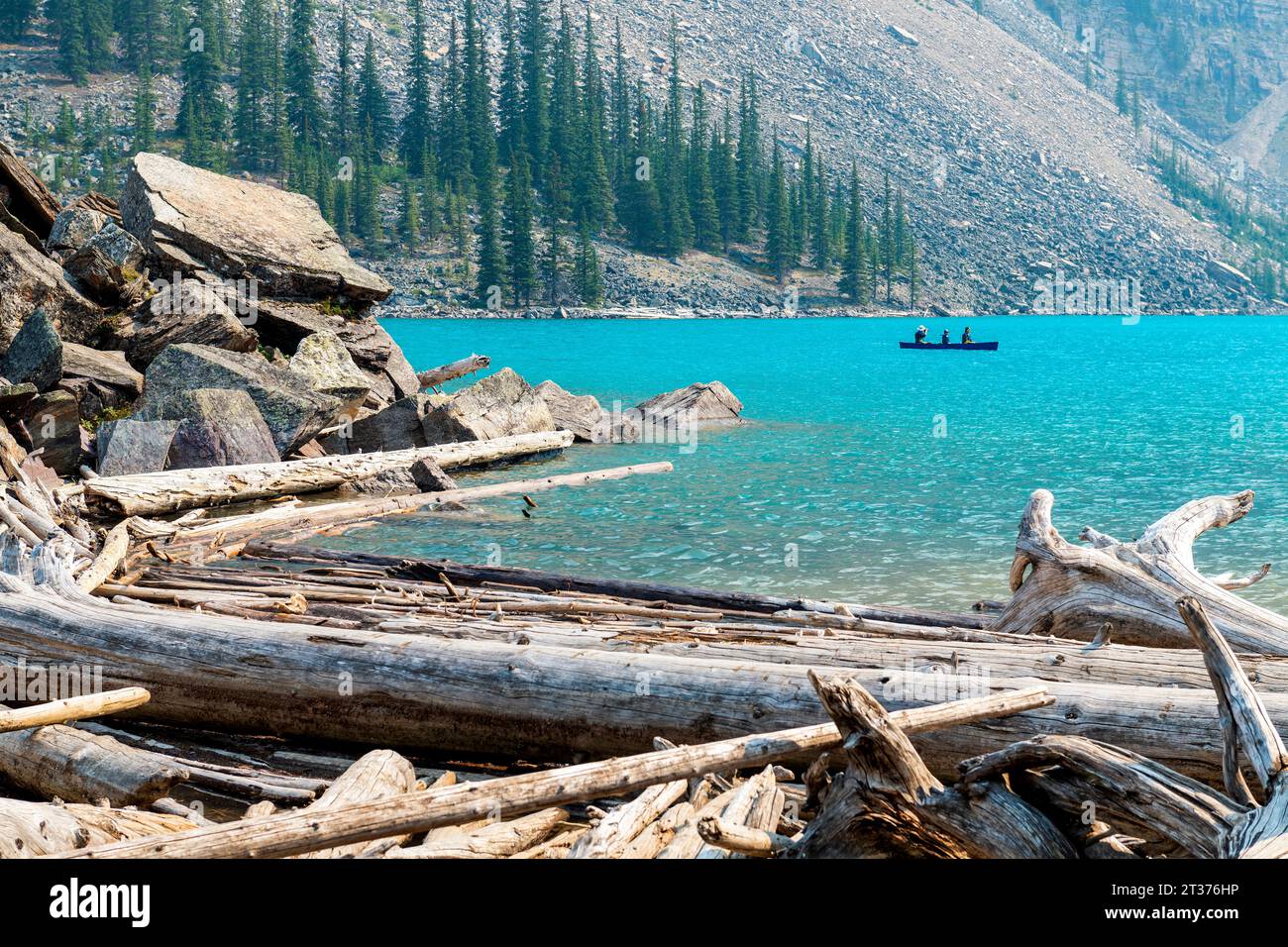 Floating tree trunks on Moraine Lake with unrecognizable kayakers in ...