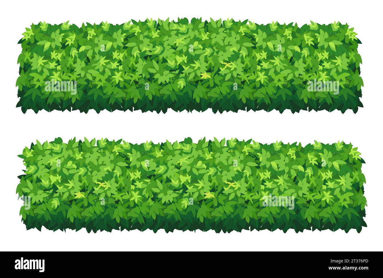 Shrubbery plant Stock Vector Images - Alamy