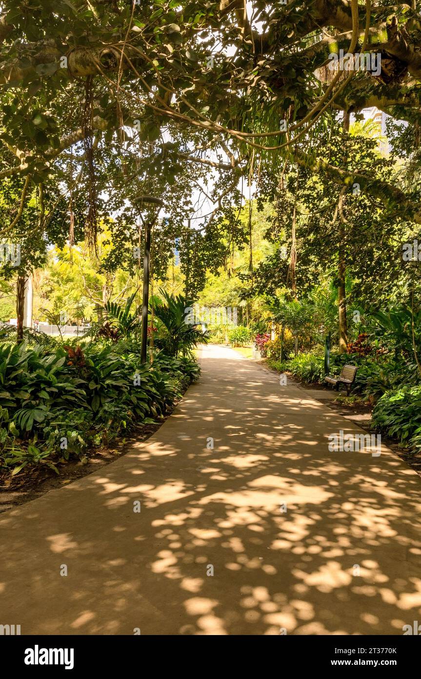 City Botanic Gardens is a public park in the city centre of Brisbane ...