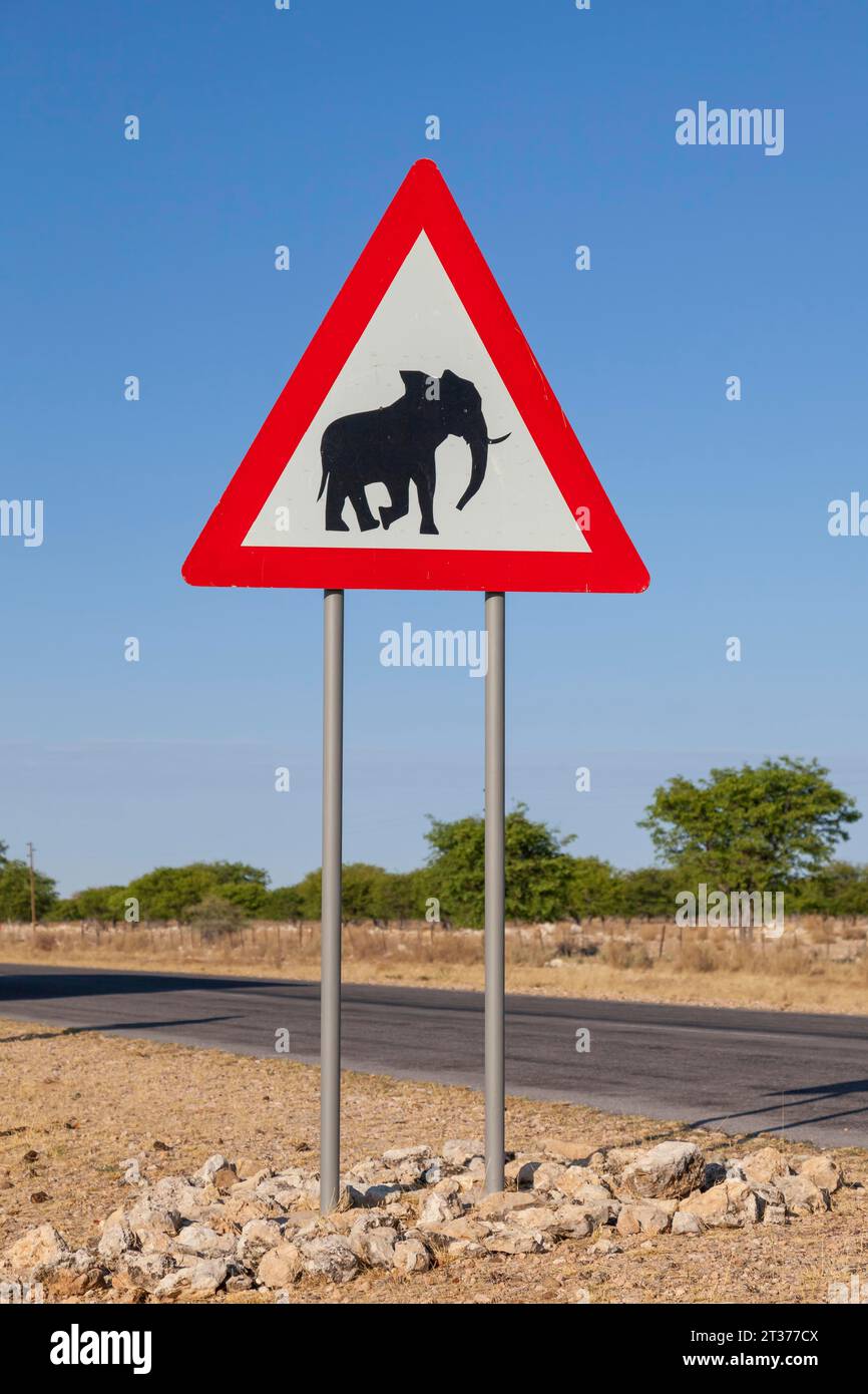 Traffic sign warning of elephants, Namibia Stock Photo - Alamy