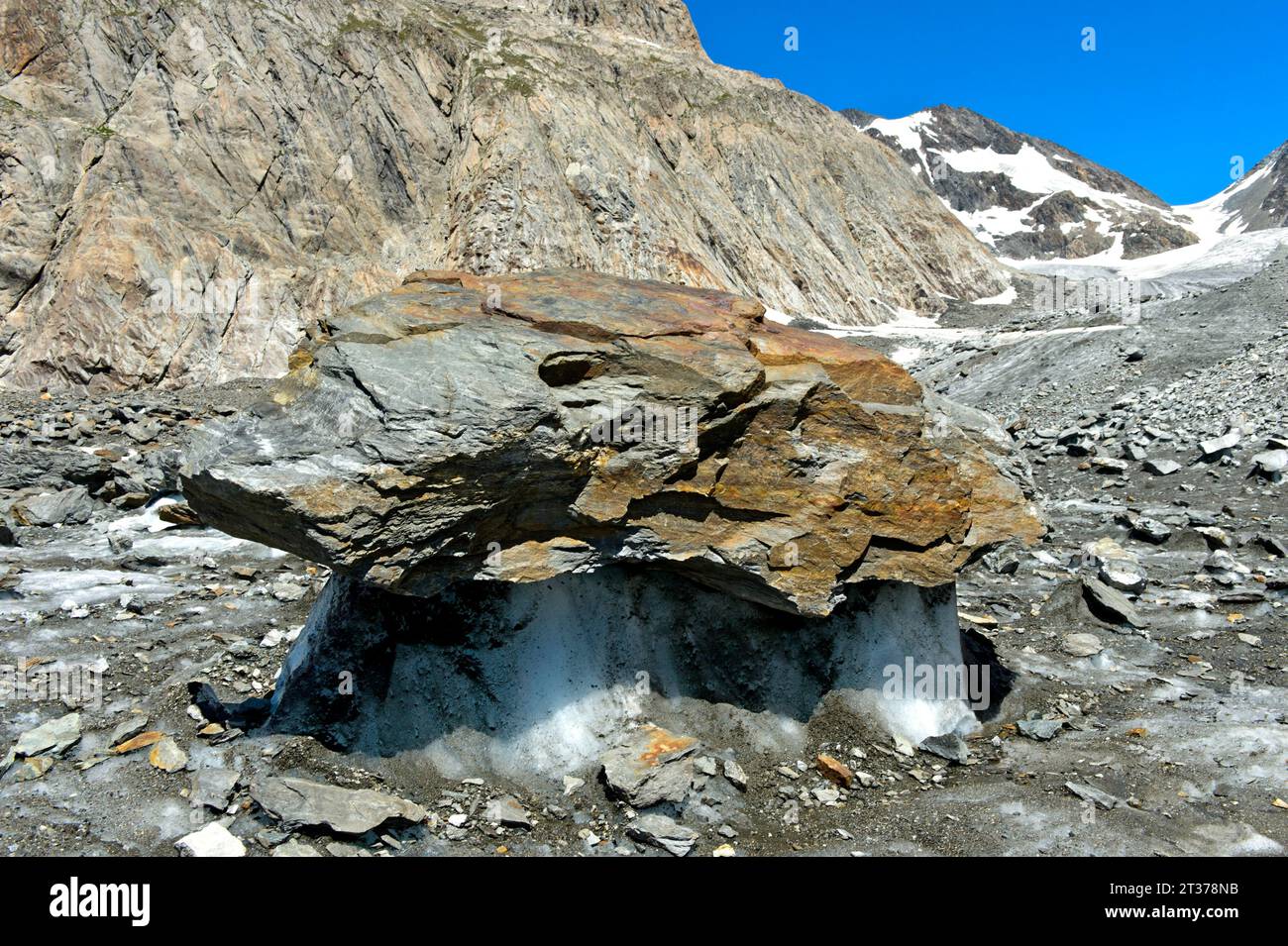 Glacier table in the rock scree at the edge of the Aletsch Glacier ...