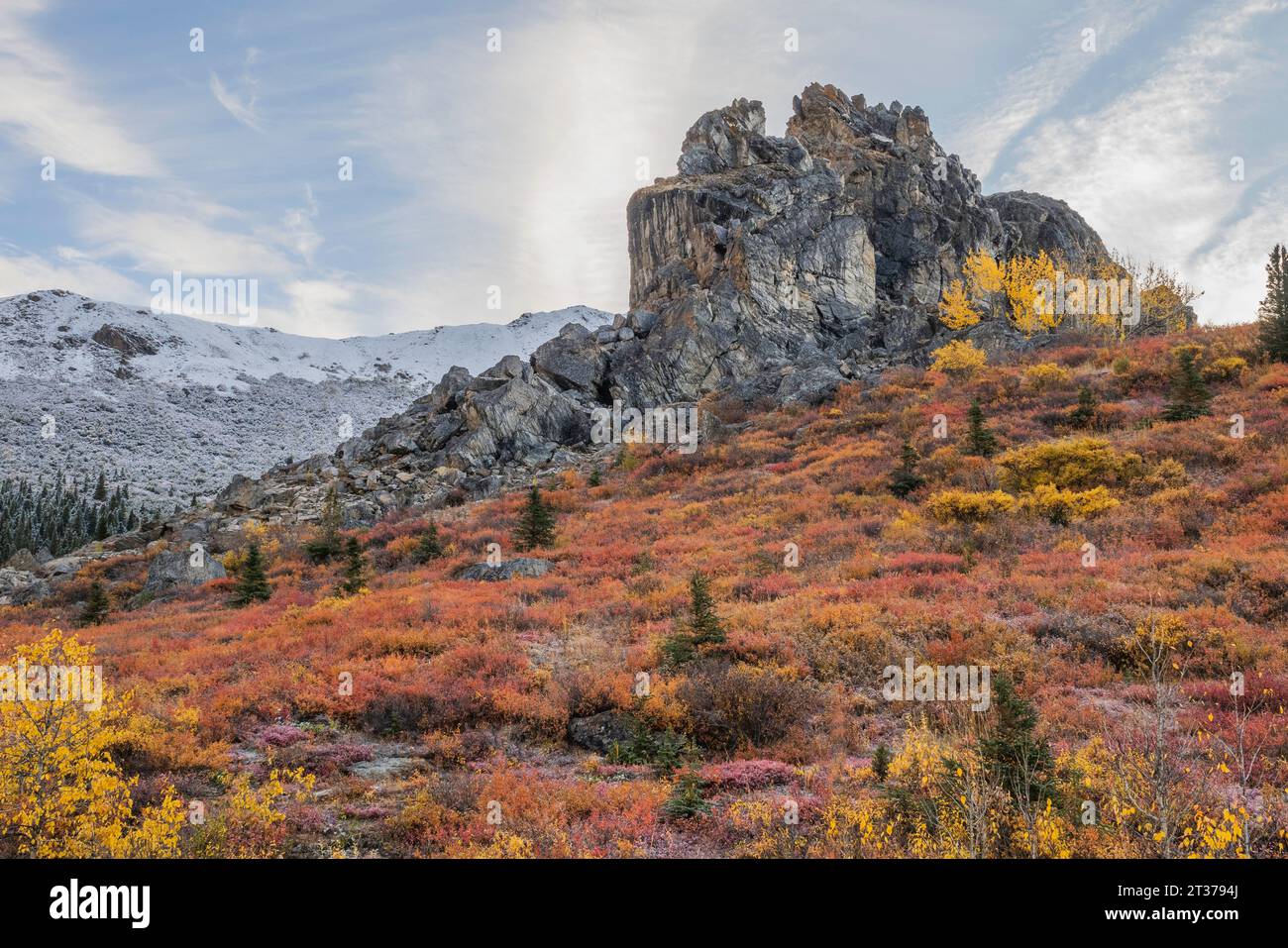 Autumn Landscape at Denali National Park, Alaska Stock Photo - Alamy