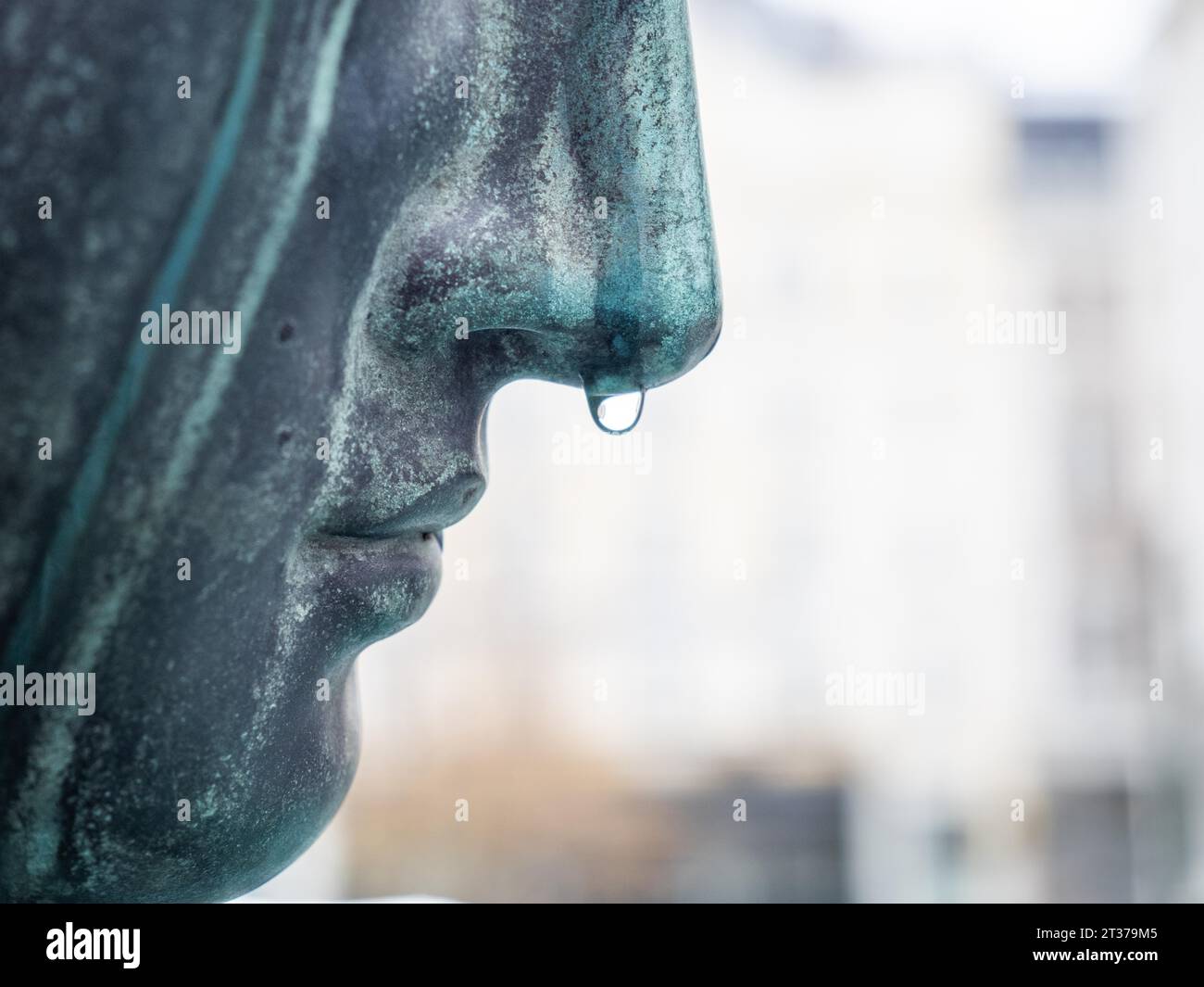 Raindrops on the nose of a fountain figure, detail of the Donnerbrunnen ...
