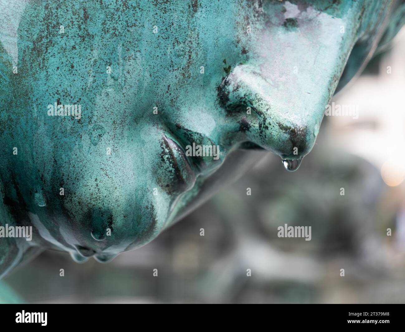 Raindrops on the nose of a fountain figure, detail of the Donnerbrunnen ...