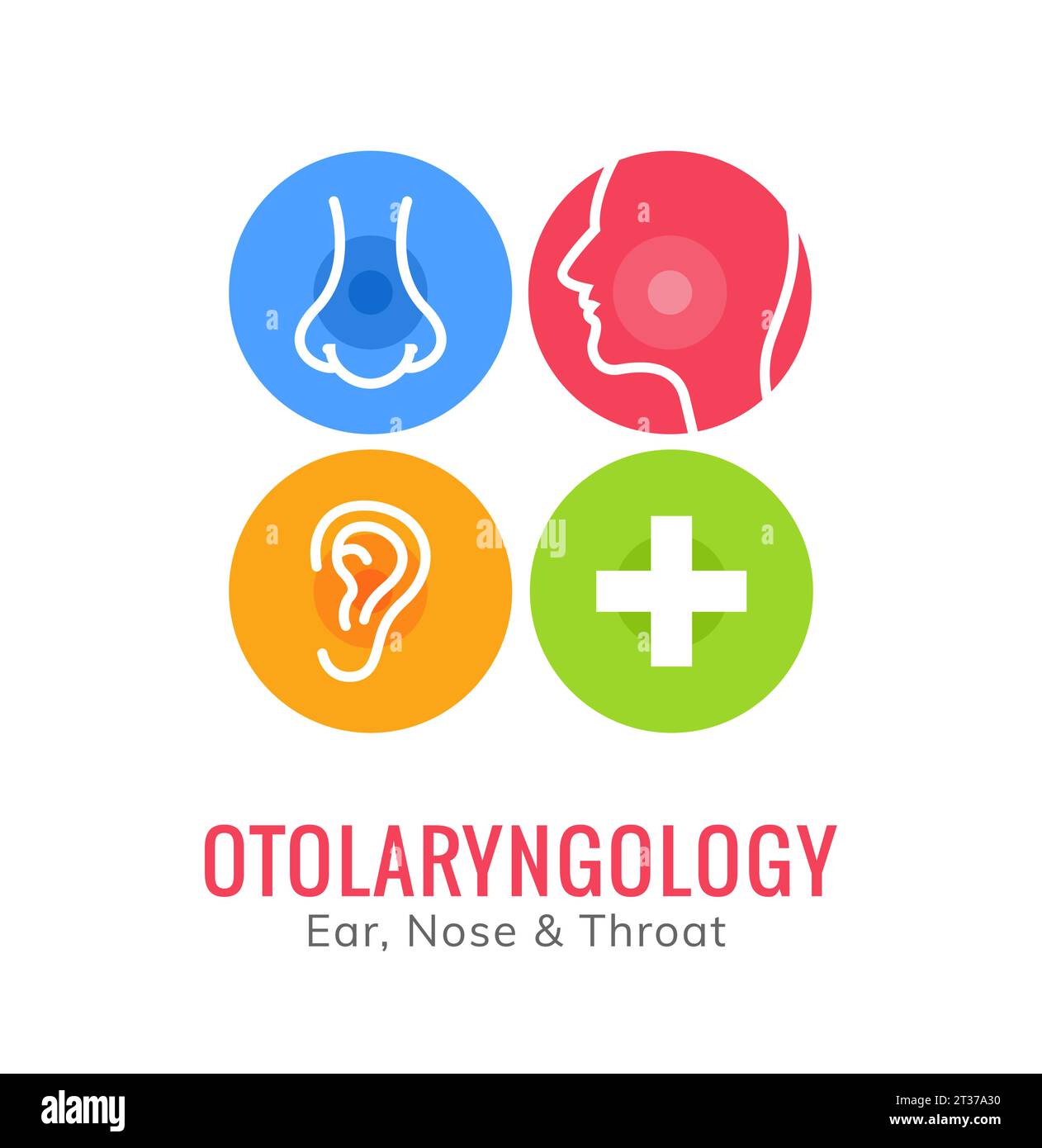 Head mouth throat diagram hi-res stock photography and images - Alamy