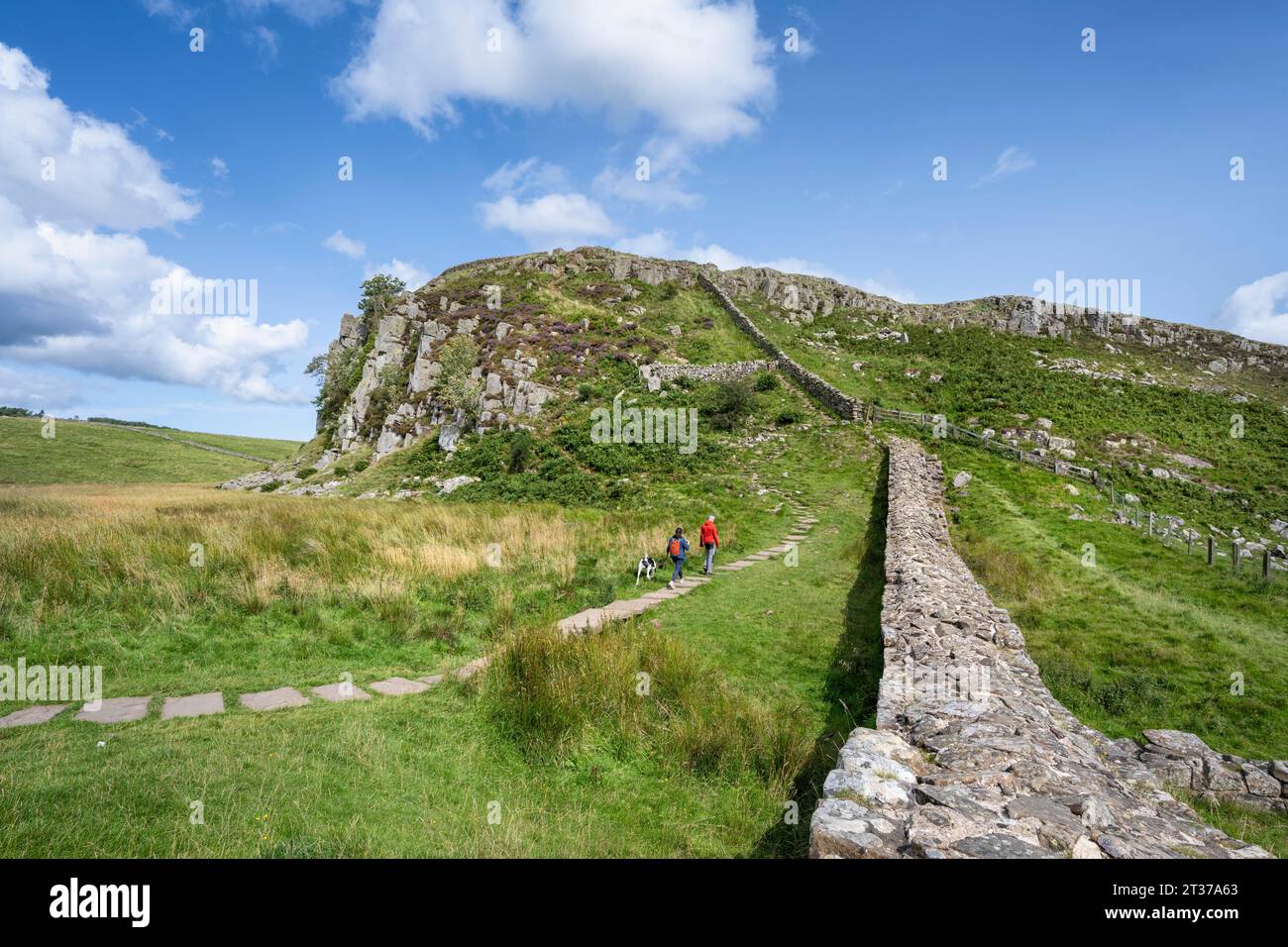 Steel Rig, Hadrian's Wall, Haltwhistle, Northumberland, England, United ...