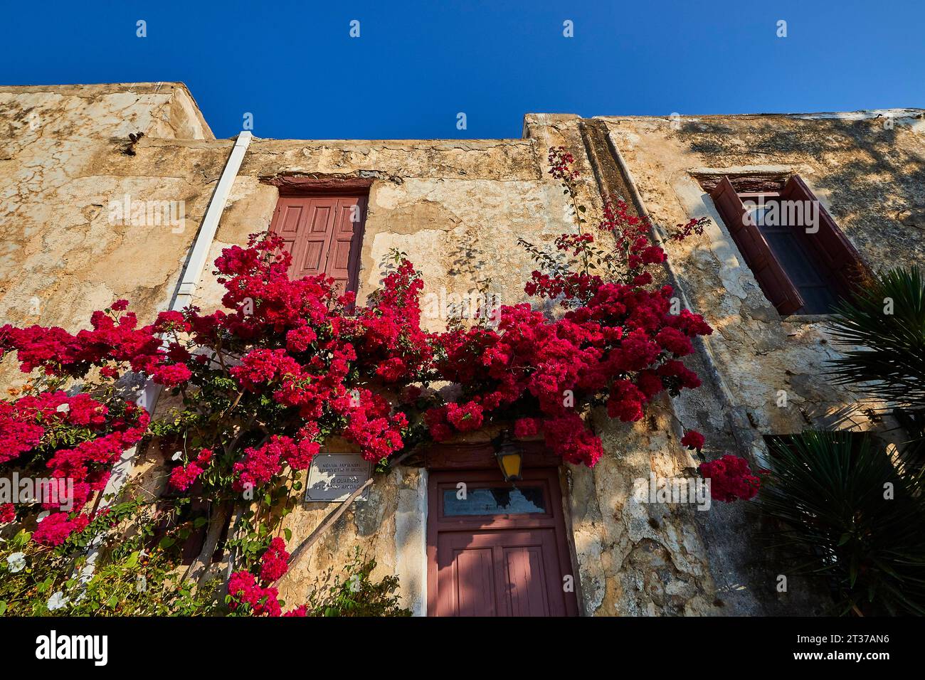 House facade, red geraniums, detail, brown doors, brown windows ...