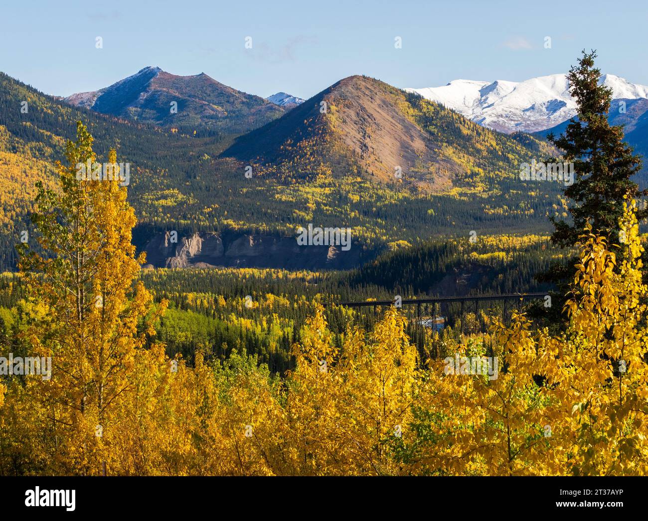 Tundra autumn denali hi-res stock photography and images - Alamy