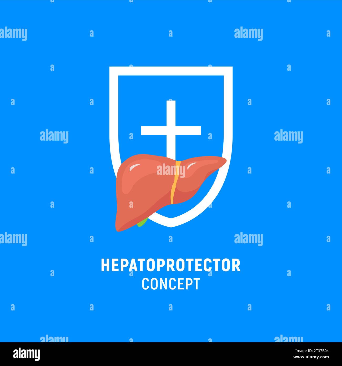 Hepatoprotector concept icon, healthy liver flat icon shield. Liver ...