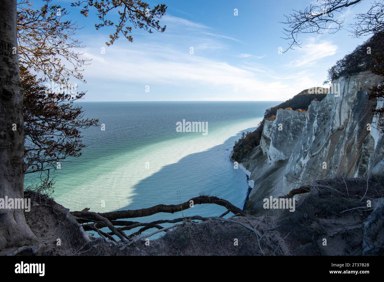 Moens Klint cliff, Baltic Sea island of Moen, Denmark Stock Photo - Alamy