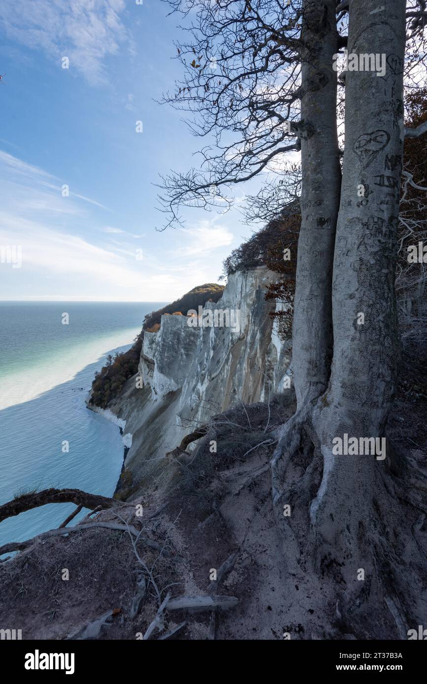 Moens Klint cliff, Baltic Sea island of Moen, Denmark Stock Photo - Alamy