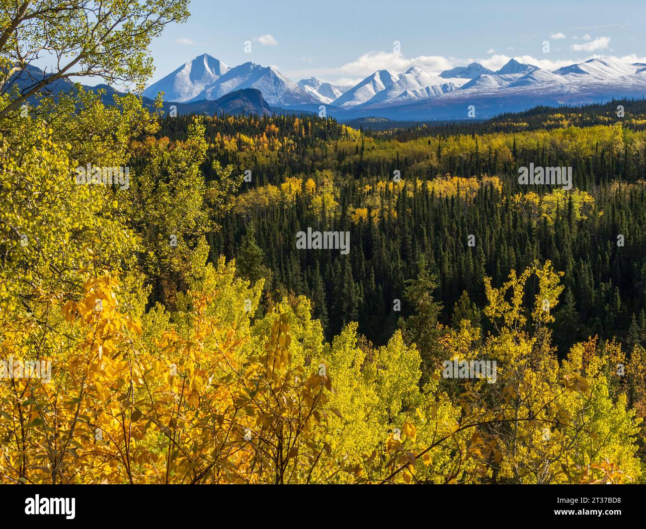 Tundra landscape alaska hi-res stock photography and images - Alamy