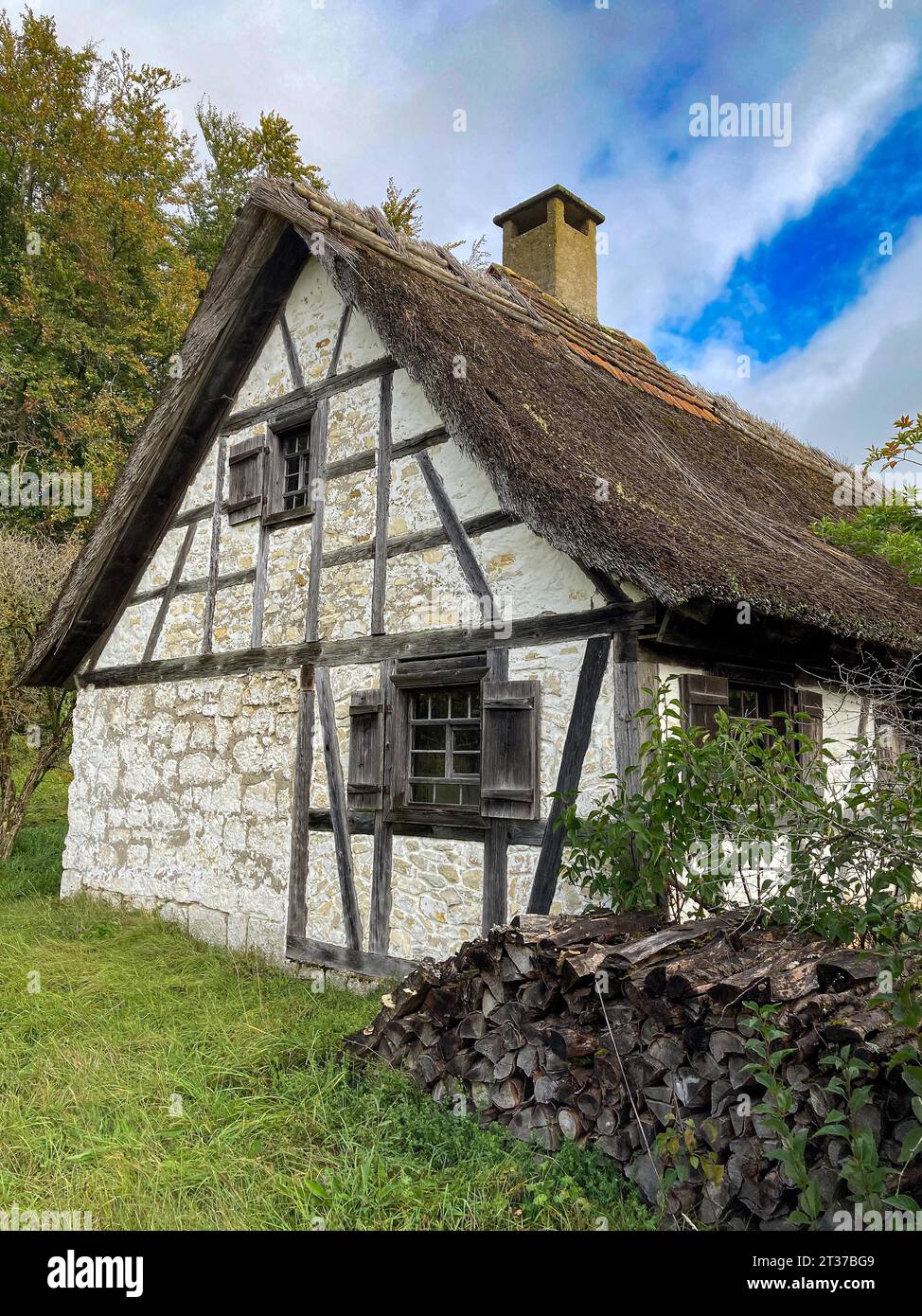 Historic reed thatched old rebuilt restored half-timbered house day ...