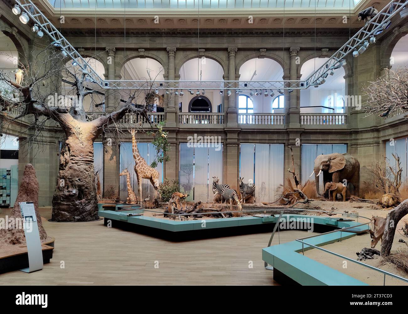 Lichthof Museum Koenig, Natural History Museum and Station Weg der ...