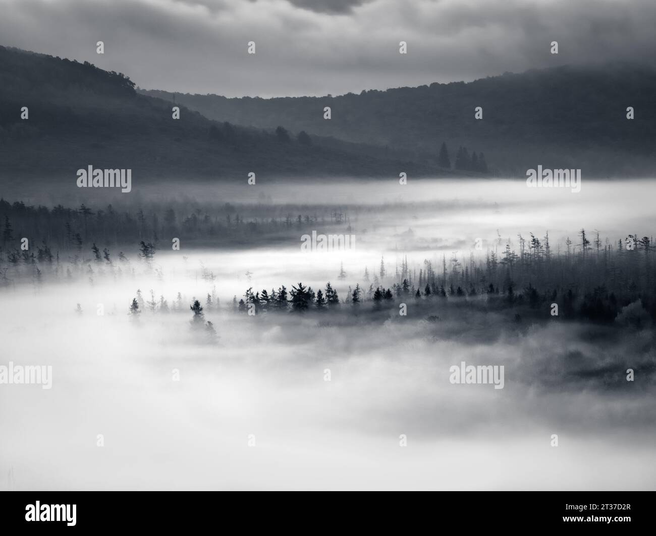 Cranesville swamp hi-res stock photography and images - Alamy