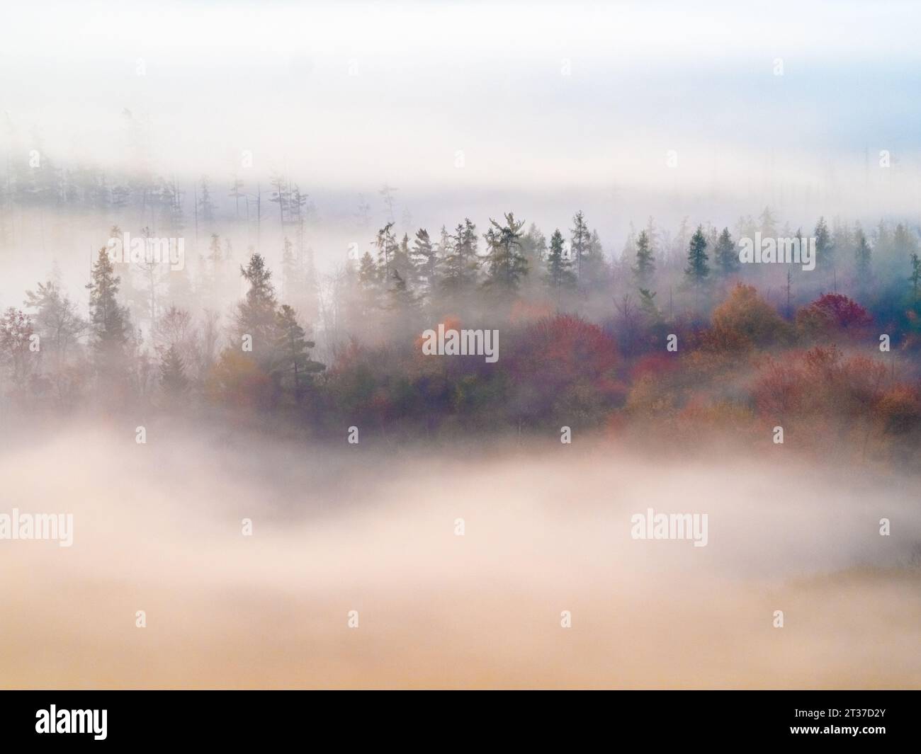 Cranesville swamp hi-res stock photography and images - Alamy