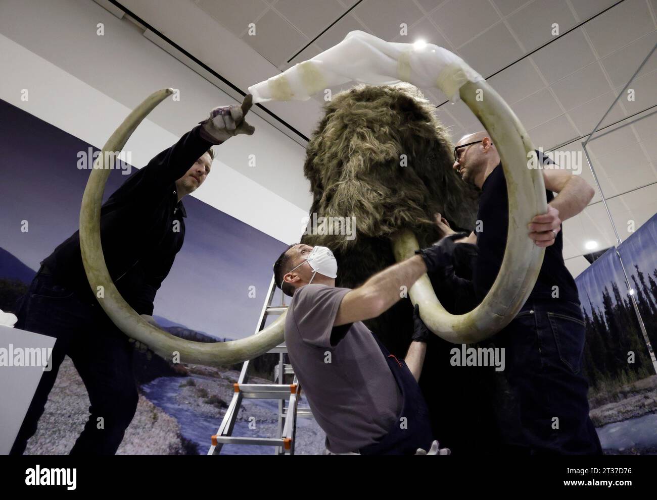 New York, United States. 03rd Jan, 2023. Workers assemble the head ...