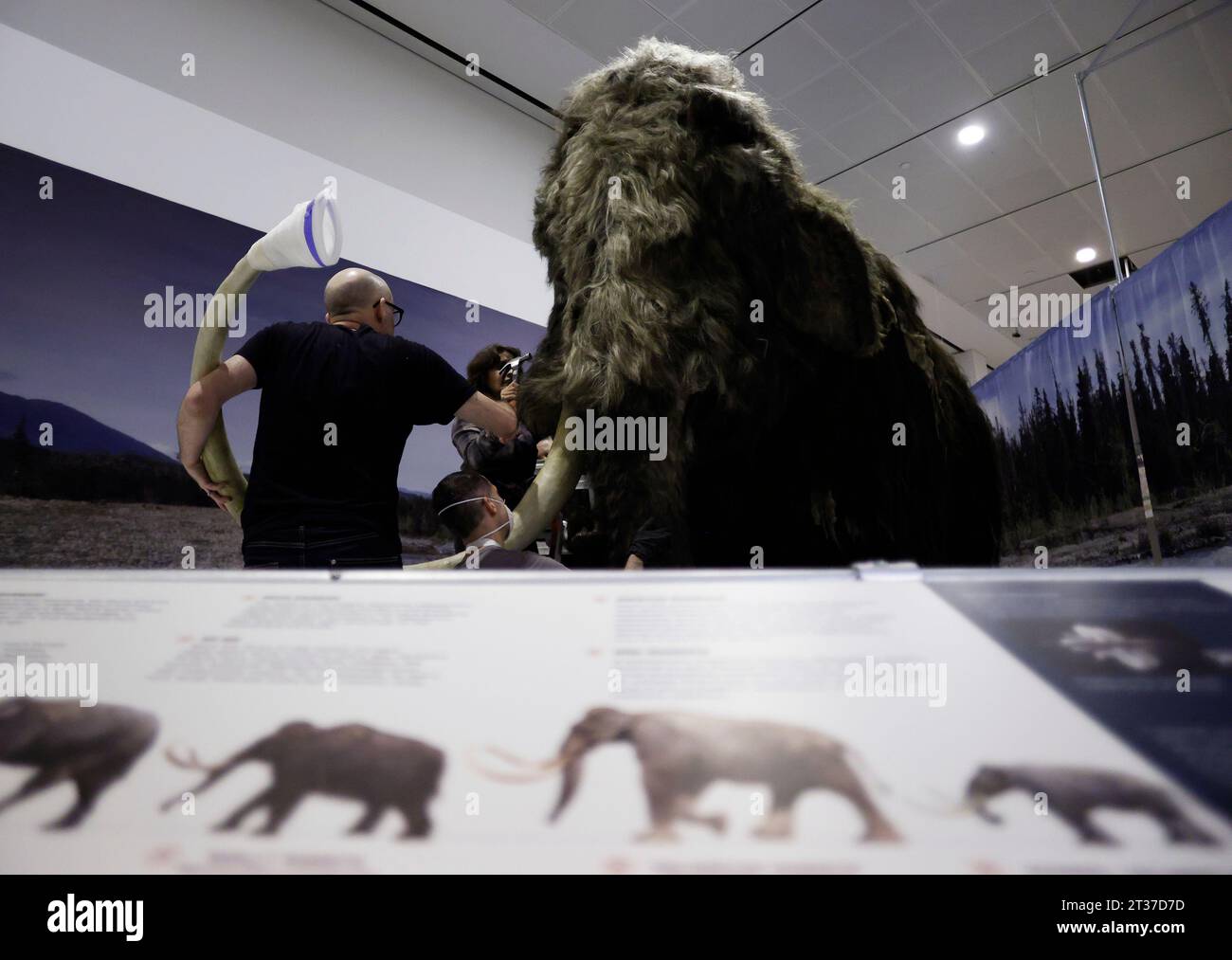 New York, United States. 03rd Jan, 2023. Workers assemble the head ...