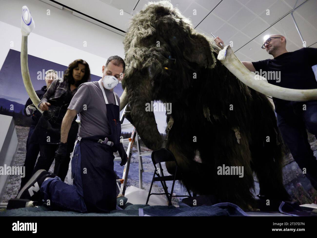 New York, United States. 03rd Jan, 2023. Workers assemble the head ...