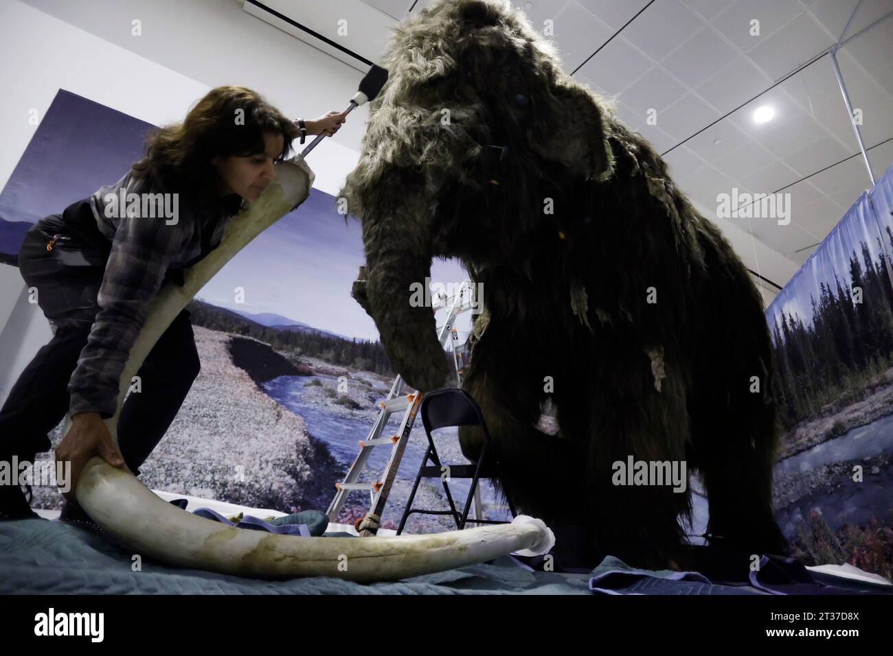 New York, United States. 03rd Jan, 2023. Workers assemble the head ...